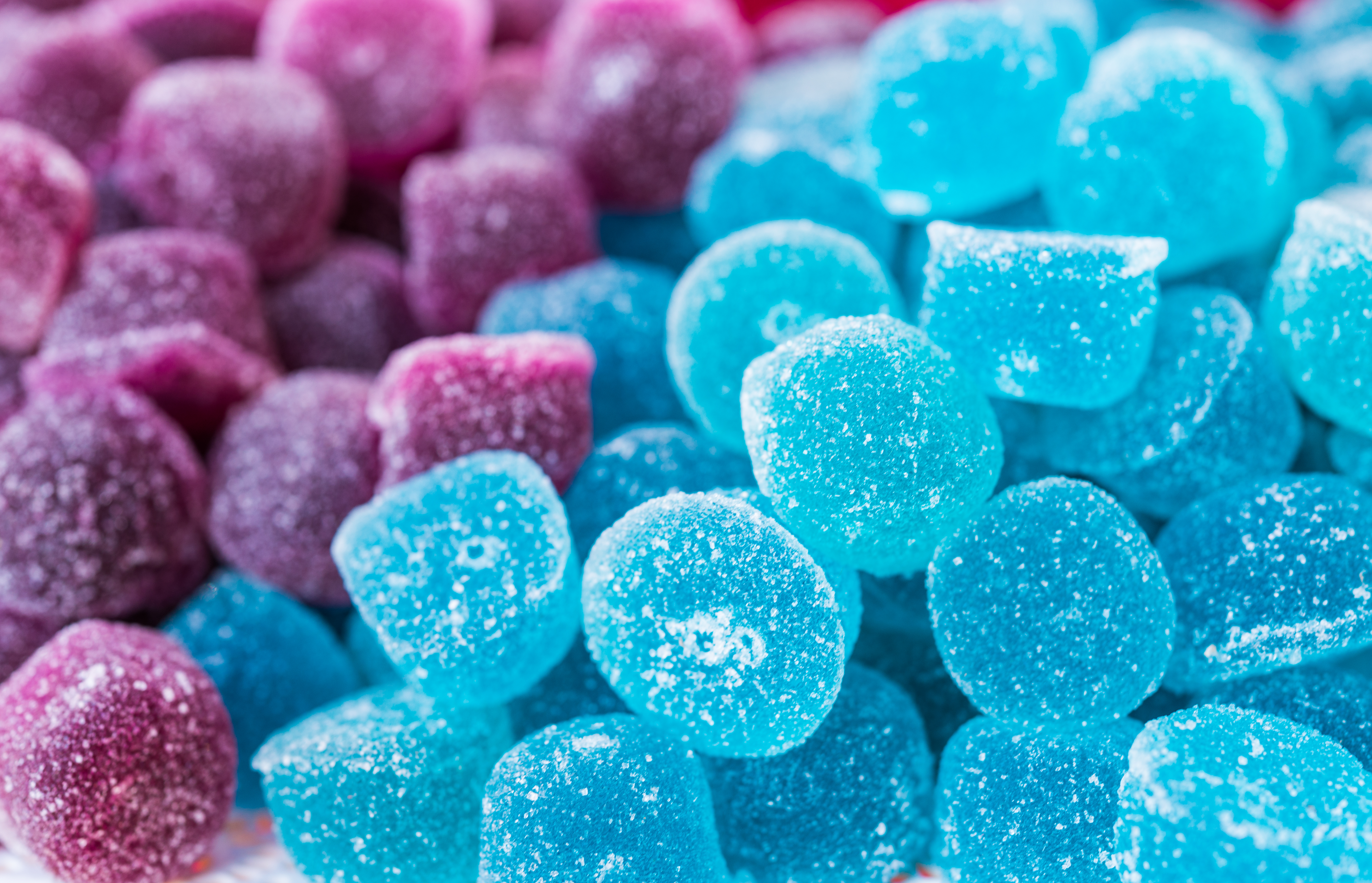 Bitter Sweets on Sugar | NOMS